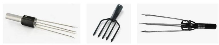 Frog Gigging: Things To Know